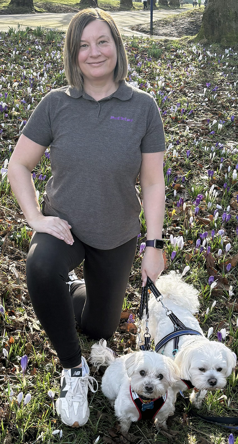 Home Dog Boarding - St Helens & Warrington | Dog Sitting Service